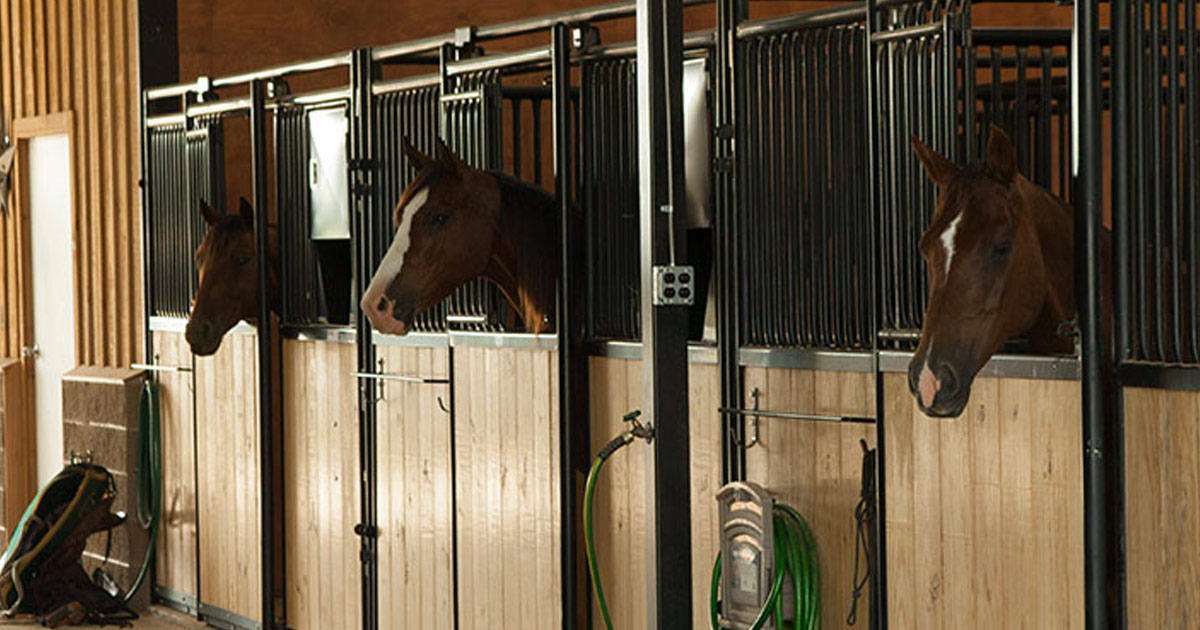 Pest and Predator Control on the Ranch | McCoy's