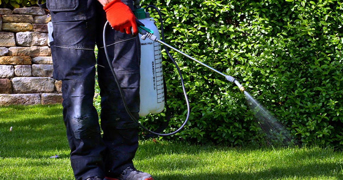 10 Herbicide Safety Tips to Control Weeds | McCoy's Building Supply