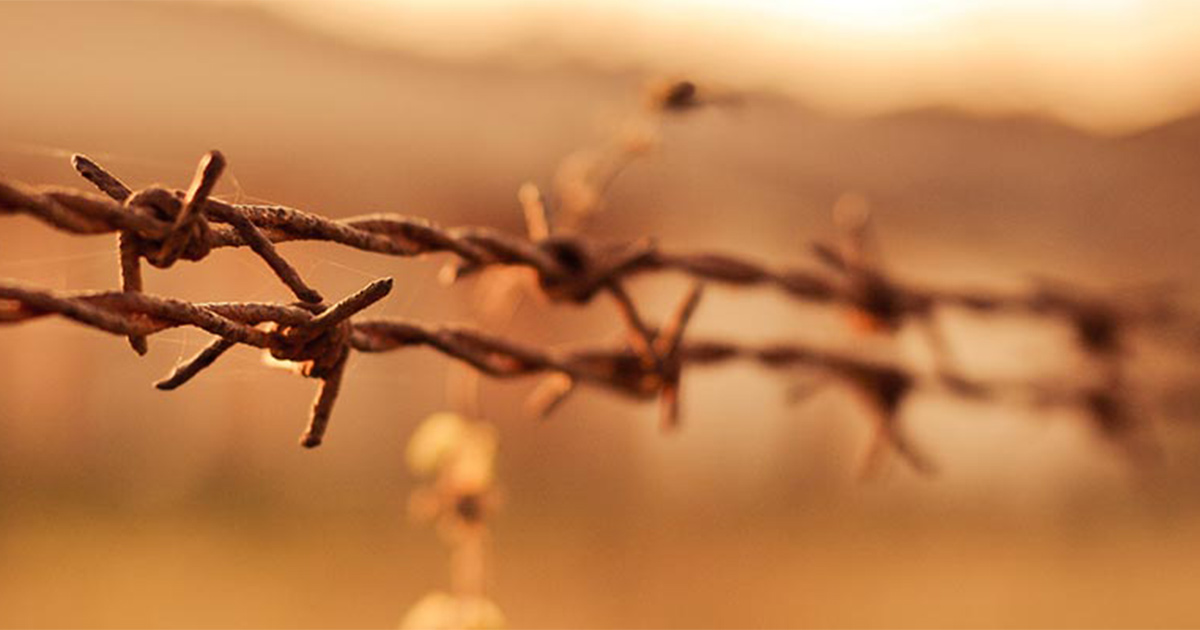 Everyday Farm and Ranch Hacks | McCoy's Building Supply