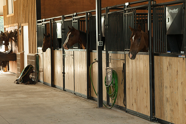 Pest and Predator Control on the Ranch | McCoy's