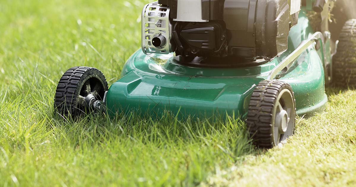 Types of Lawn Mowers | McCoy's
