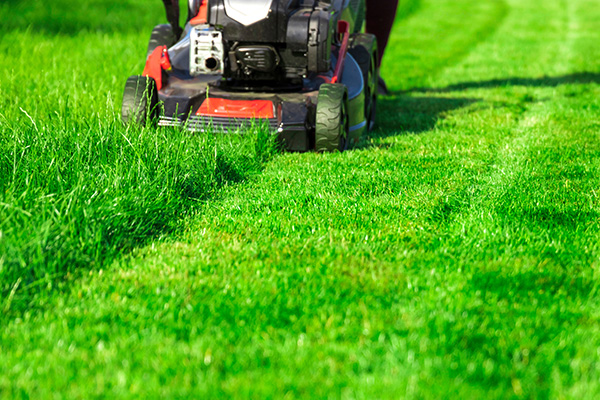 8 Tips for How to Mow a Lawn Like a Pro | McCoy's