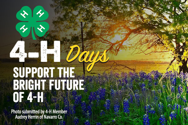 McCoy's Supports Texas 4-H