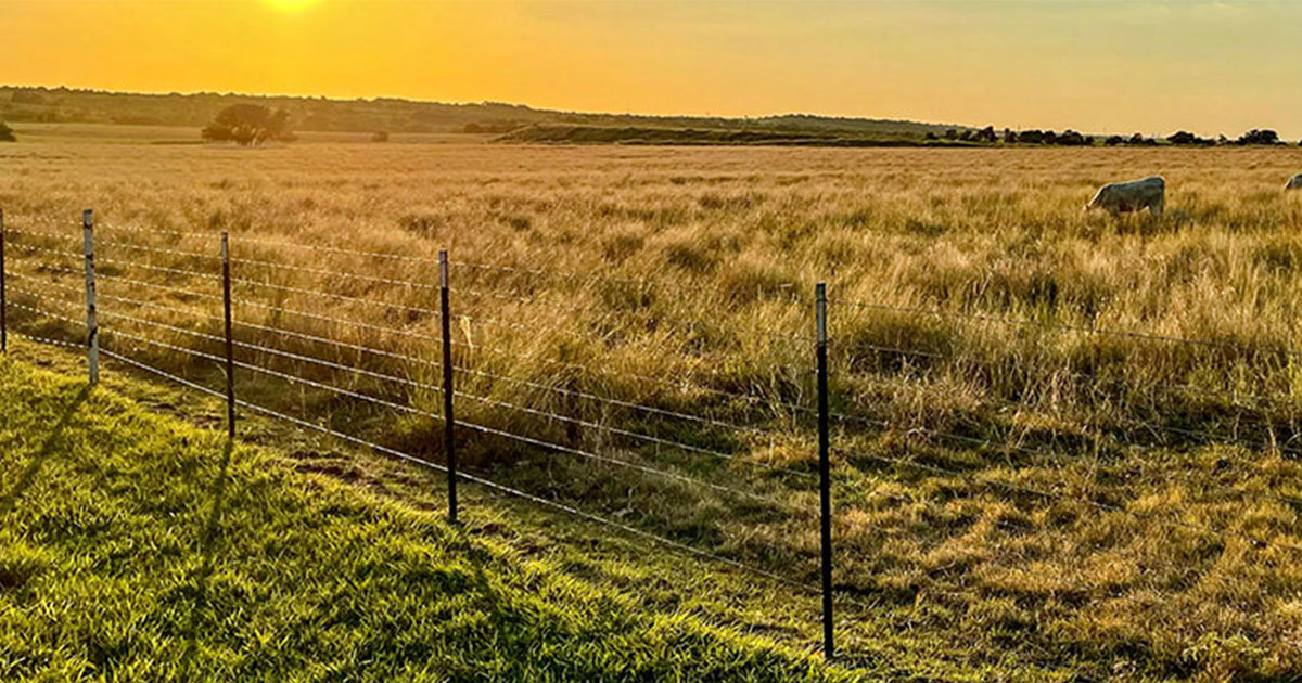 T-Posts - Field Fencing Made Easy | McCoy's Building Supply