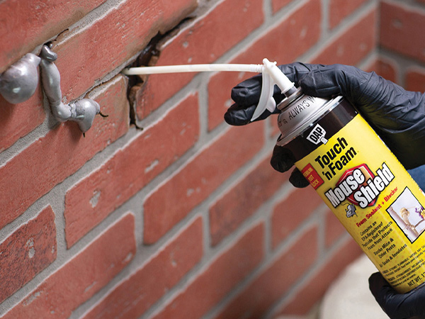 Pest Control Tips | McCoy's Building Supply