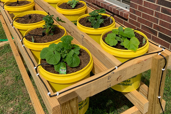 Bucket Garden | McCoy's Building Supply