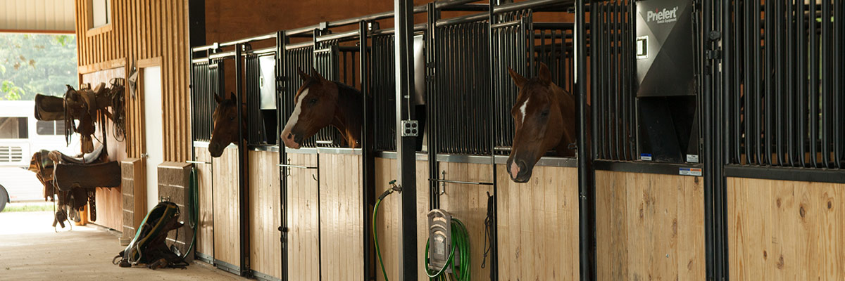 Pest and Predator Control on the Ranch | McCoy's