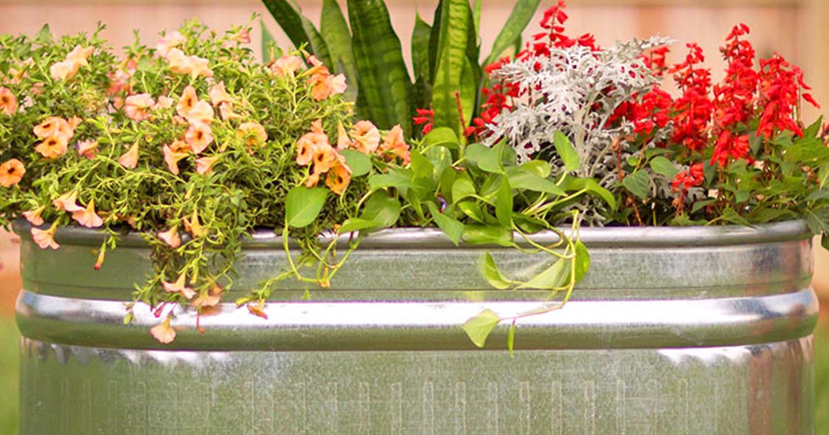 DIY Stock Tank Garden | McCoy's Building Supply